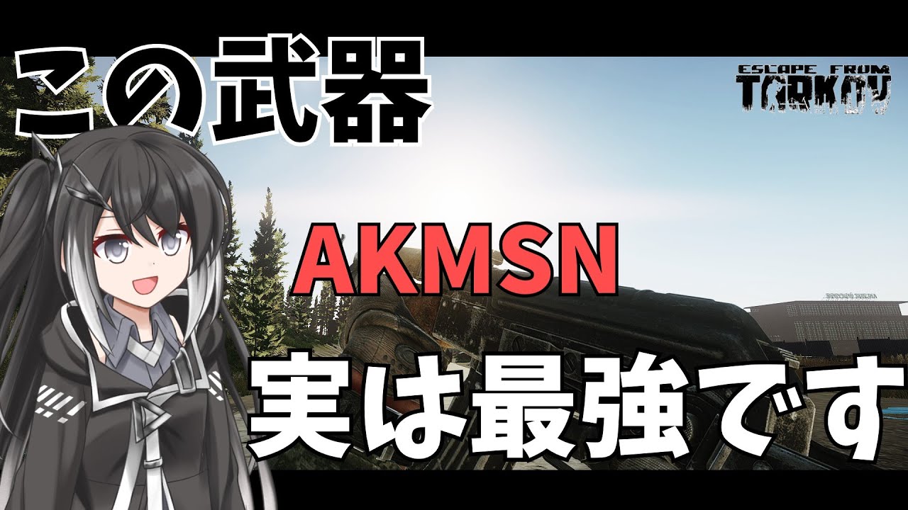 【EFT】AKMSNって実は最強なんです⁉ 【ゆっくり実況プレイ/Escape from Tarkov】【初投稿】 - YouTube