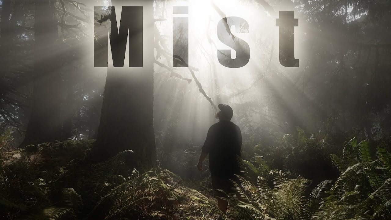 Into the Mists // Woodland Landscape Photography - YouTube