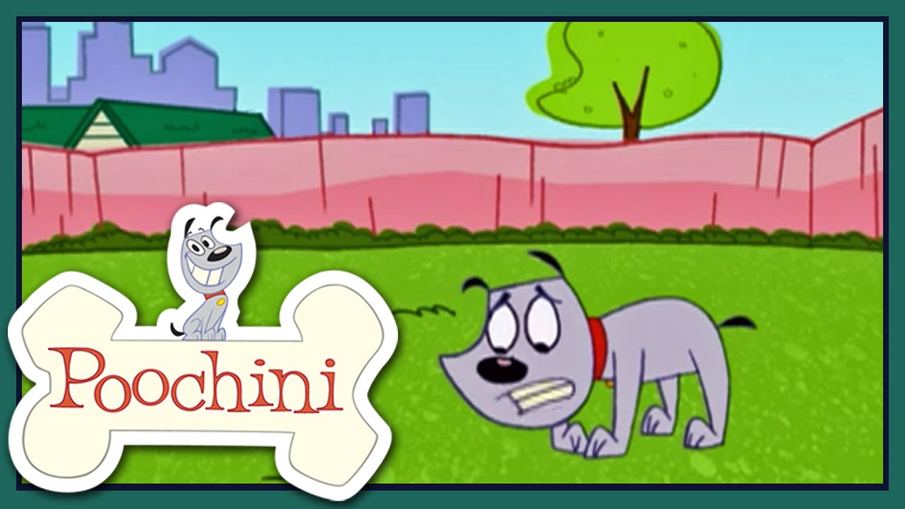 Poochini - épisode 24 - Le chien devin - YouTube