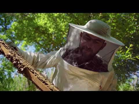 “ProFarms” layihəsi: arıçı Rövşən Babayev