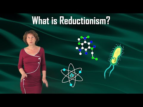 What Does Reductionist Mean In Psychology