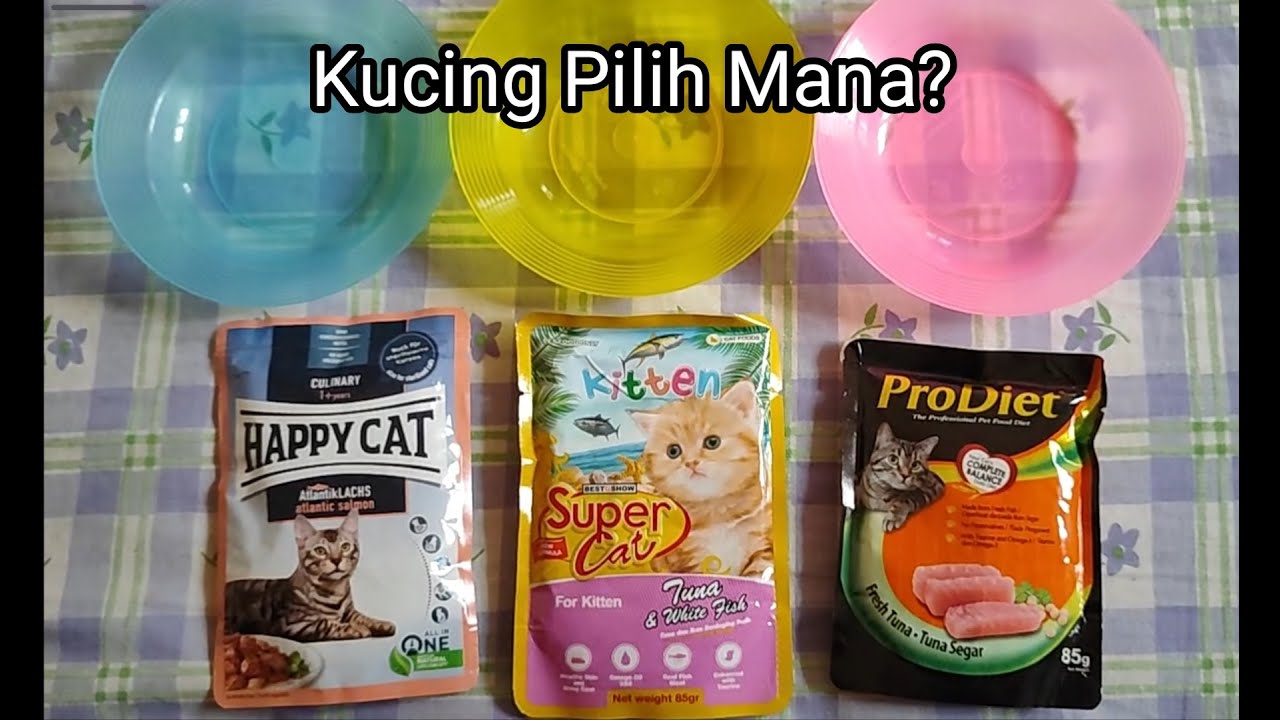 Wet Food Liked by Cats. Happy Cat, Super Cat or Prodiet? - YouTube