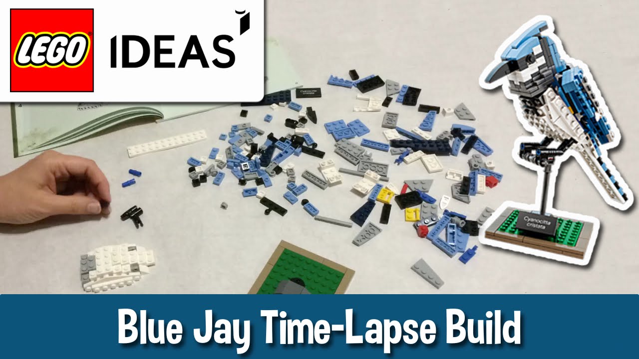 LEGO Ideas: Birds - Blue Jay Time-Lapse Build - YouTube