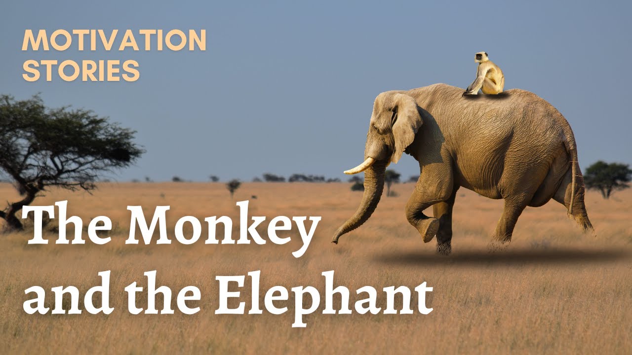 Motivation Story About Teamwork: The Monkey and the Elephant - YouTube