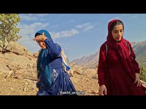 Bir Anne ve Kızı, Zagros Meşe Ormanı'nı Kurtarmak İçin Hayatlarını Tehlikeye Atıyor 🌳🔥