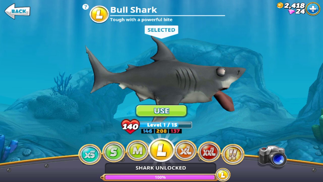 Bull shark - YouTube