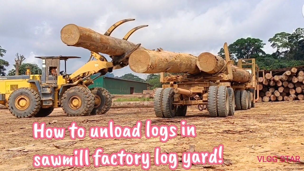 How to unload logs in sawmill factory log yard! #trendingshorts - YouTube