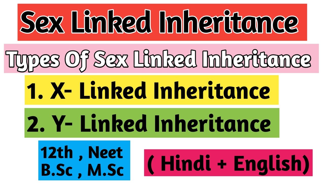 Sex Linked Inheritance Types Of Sex Linked Inheritance Sex Linked