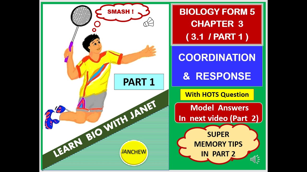 Biology Form 5 SPM Chapter 3 (3.1) Part 1 Coordination and Response ...