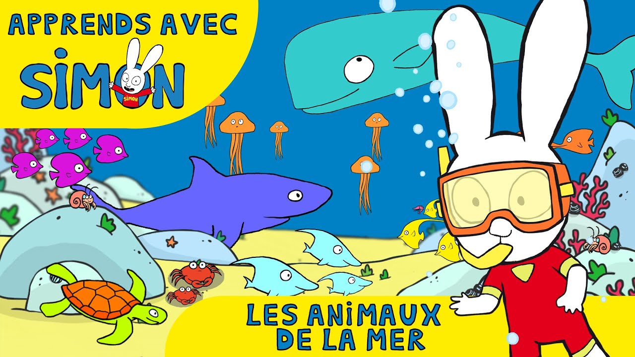Simon - Découvre les ANIMAUX de la MER avec SIMON [Officiel] Dessin ...