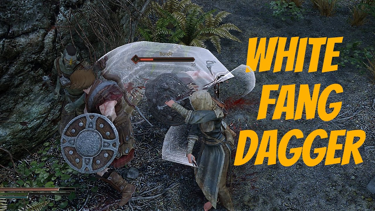 Skyrim Combat Animation Overhaul (White Fang Dagger) - YouTube