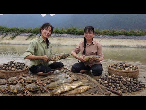 BIG SNAP! The two sisters harvested a bountiful catch of carp and snails and brought them to sell.