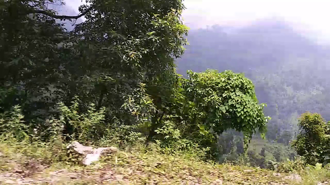 Way to Bhutan from Hasimara, Jaigaon(1) - YouTube