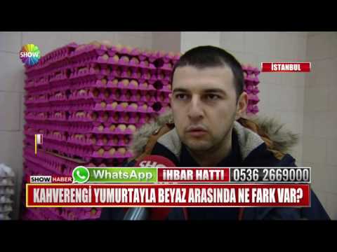 Kahverengi yumurtayla beyaz arasındaki fark ne?