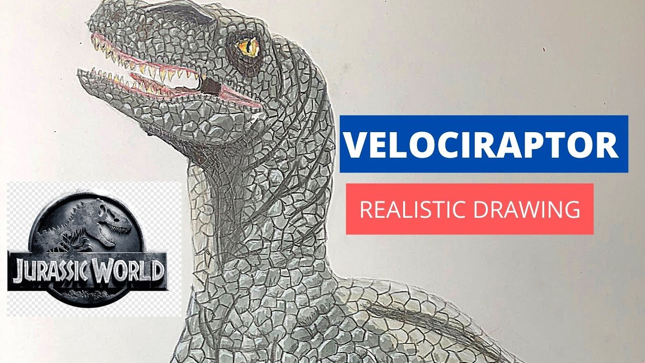 Drawing Velociraptor Jurassic World Realistic Drawing