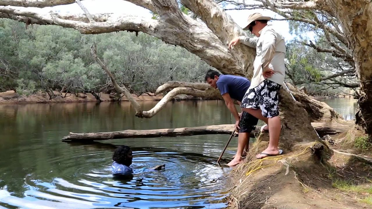 Cairns, Fitzroy Island and Chillagoe Camping Holiday - YouTube