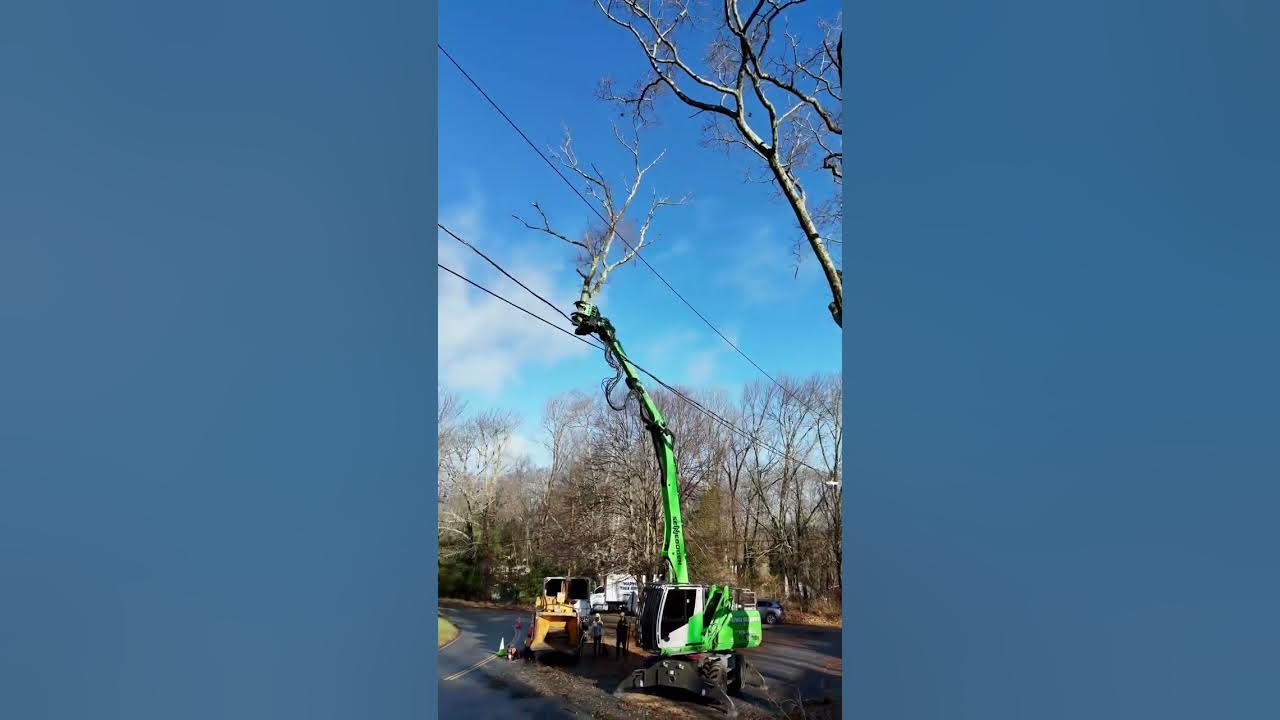 The sennebogen 718 effortlessly takes down this homeowner tree in RI - YouTube