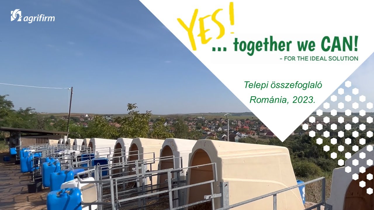 Telepi összefoglaló - better together Romániában is - YouTube