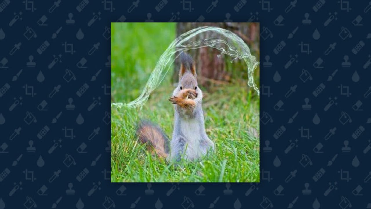 Is the 'Water Bending' Squirrel Real? - YouTube