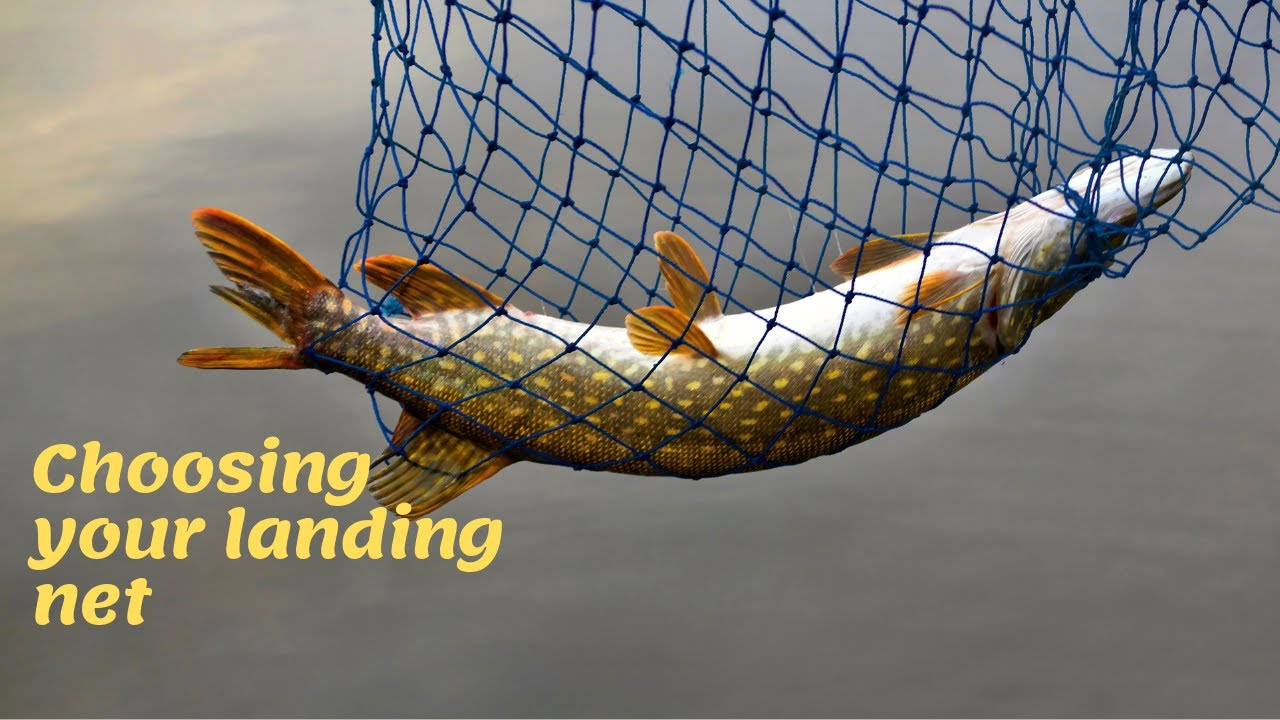 Choosing the right landing net for fishing - YouTube