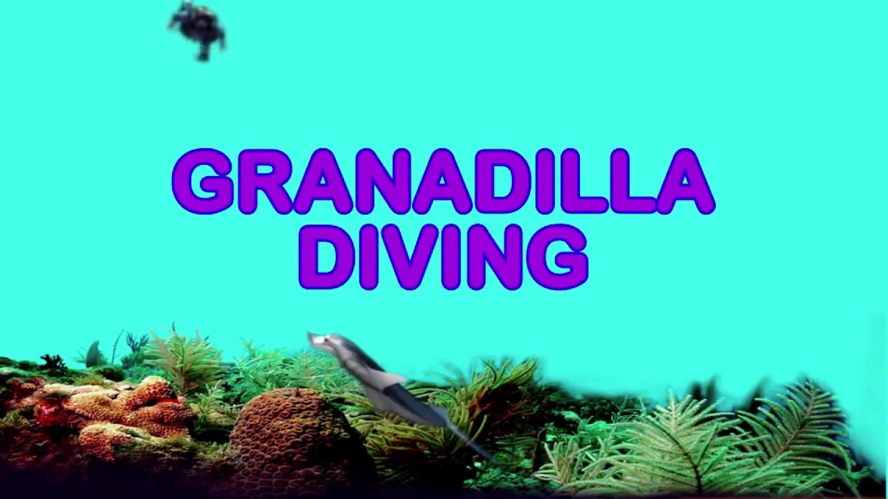 Dive 949 YouTube dive-949-youtube