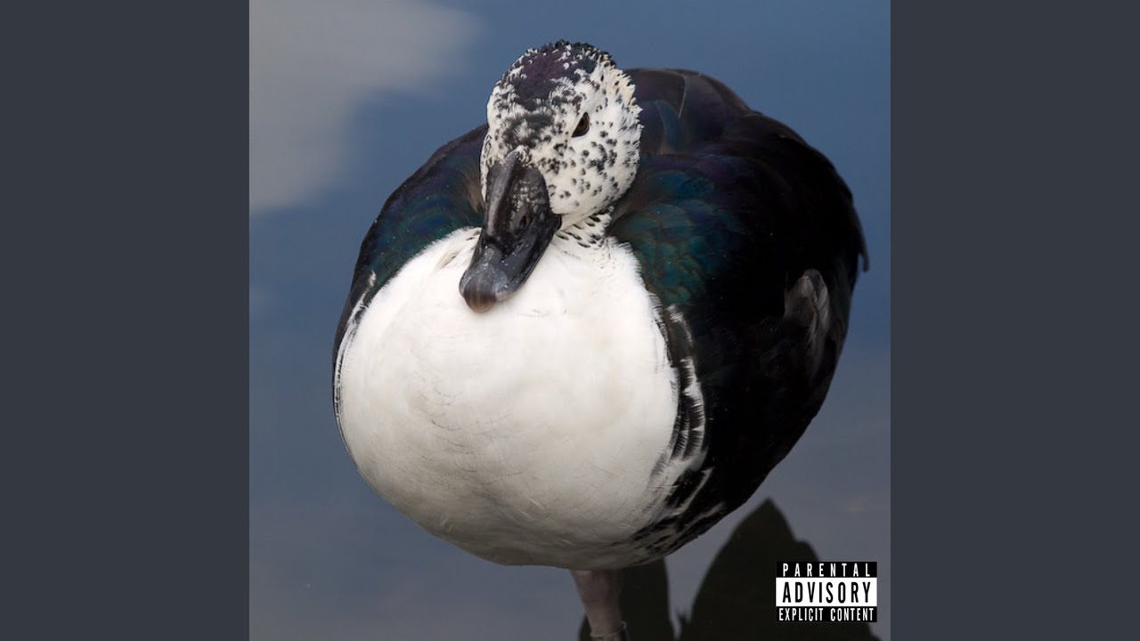 Appetizer For A Fat Swan - YouTube