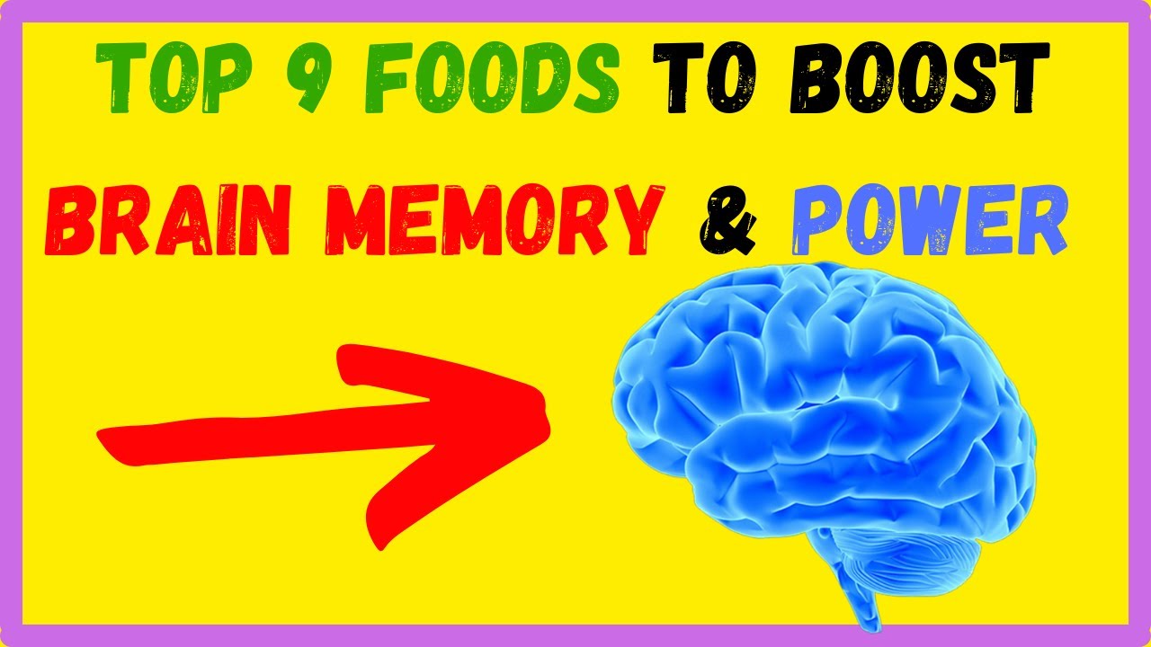 🛑Top Foods to Improve Memory and Brain Power [NEW - MUST SEE] - YouTube