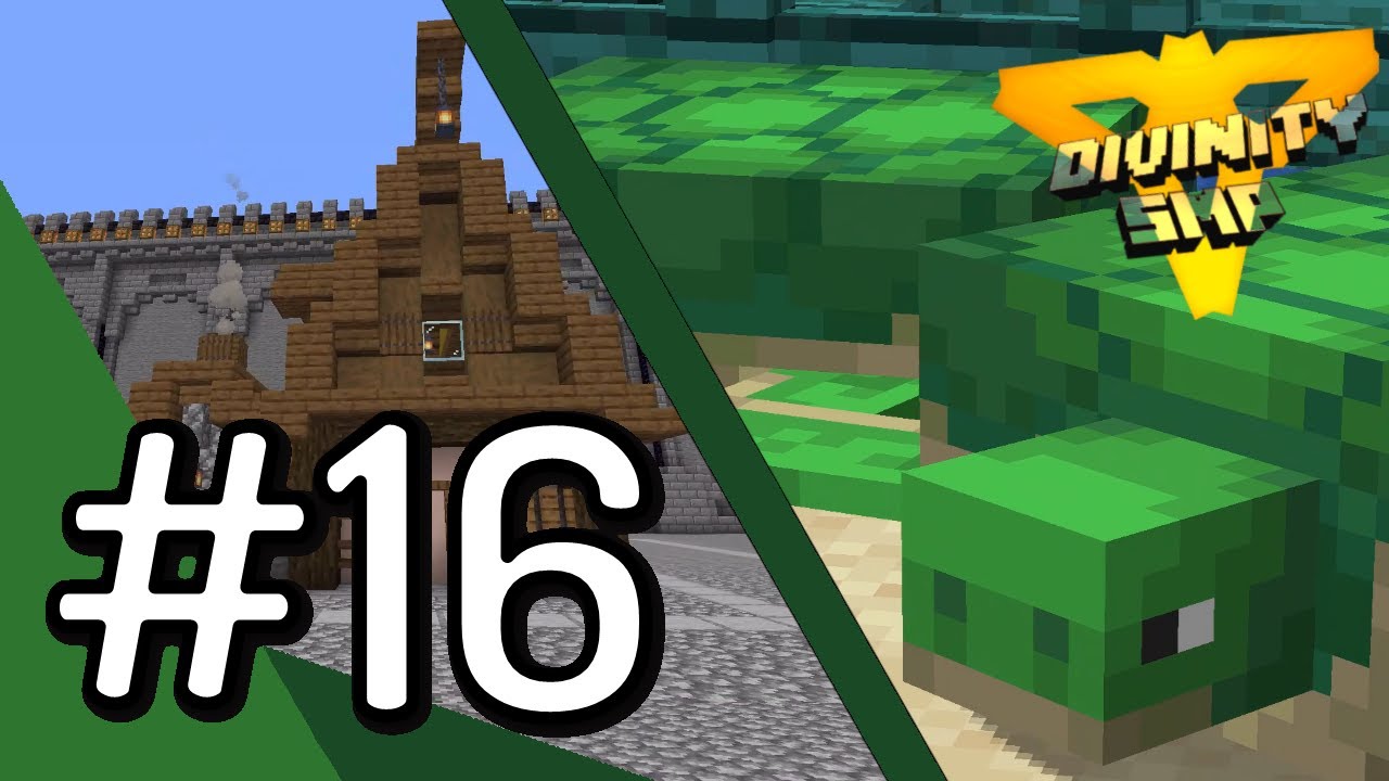 Turtles! + New Houses Part 5 (Divinity SMP) - YouTube