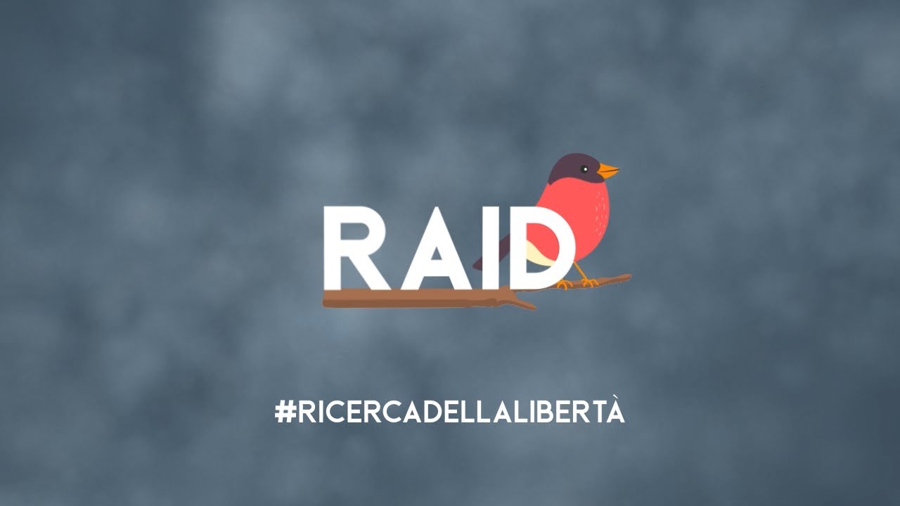 "Aeroporto di Salerno, pronti al decollo? La puntata di Raid - YouTube