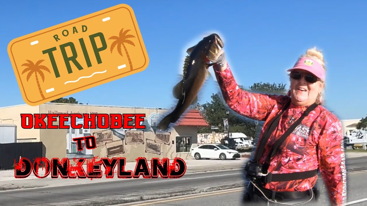 ROAD TRIP to DONKEYLAND - YouTube
