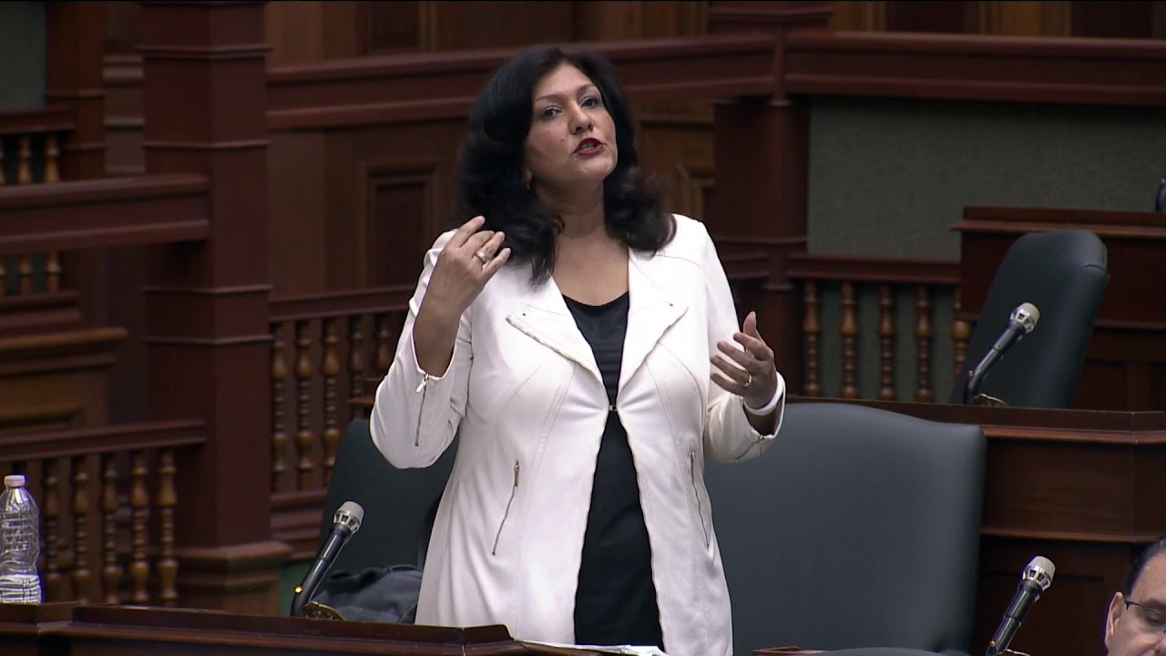 May 27 2020 - MPP Nina Tangri Speaks of the Ontario Spirit - YouTube