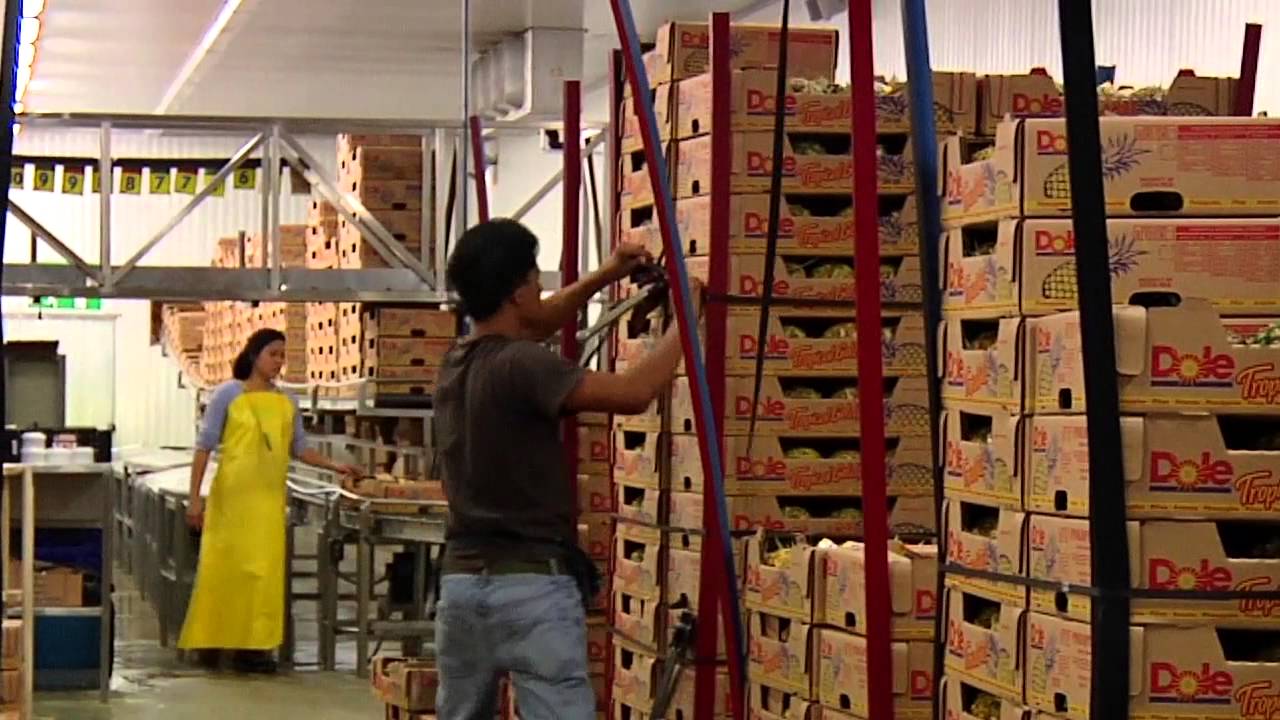 DOLE - Packing Pineapples - YouTube