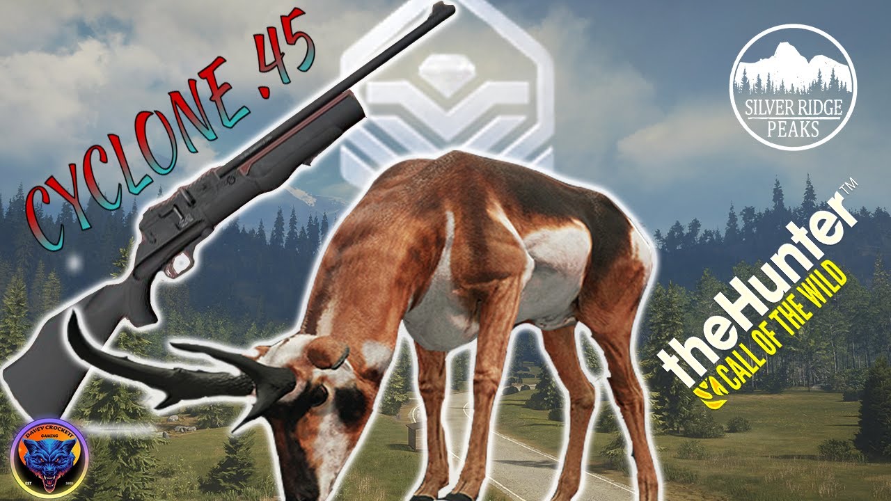 DIAMOND PRONGHORN VS Vasquez Cyclone .45 Air Rifle Hunter Call of the ...