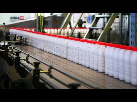 Bottles Yogurt With Red Caps Move Wide Conveyor Belt At Factory. Stock Footage