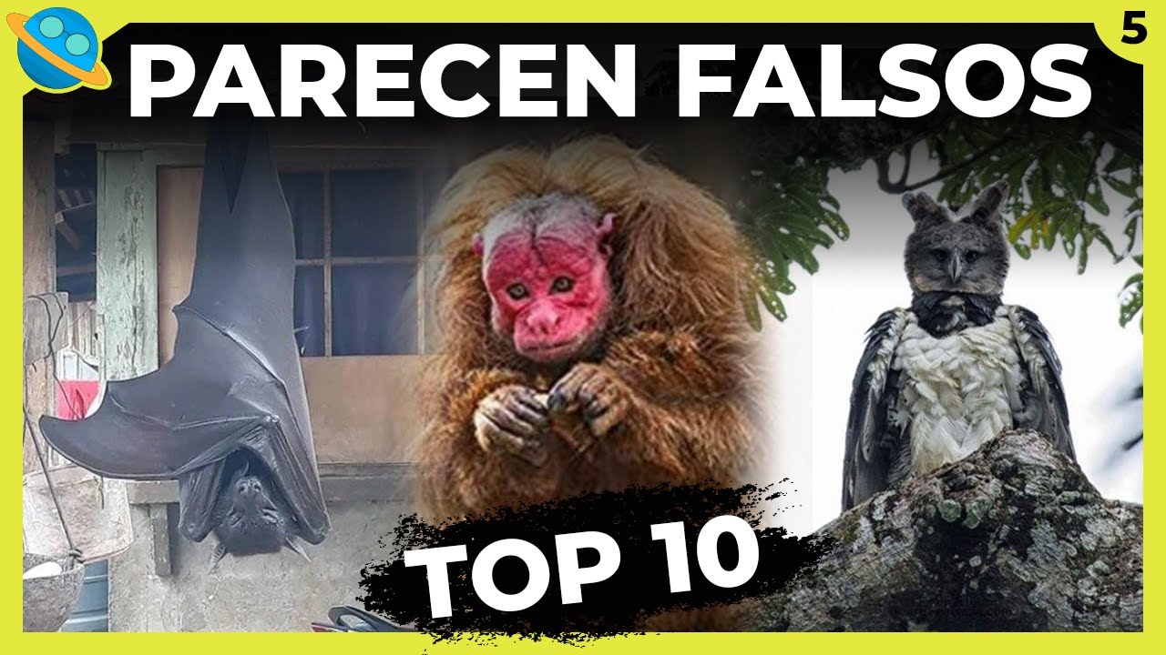 TOP 10 Animales terroríficos 😱 y de apariencia fantástica ,🐲 pero son ...