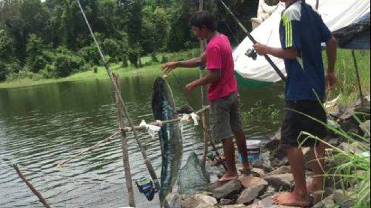 Amazing Fishing - Fishing With Khmer Traditional Fish Trap (Trou ...