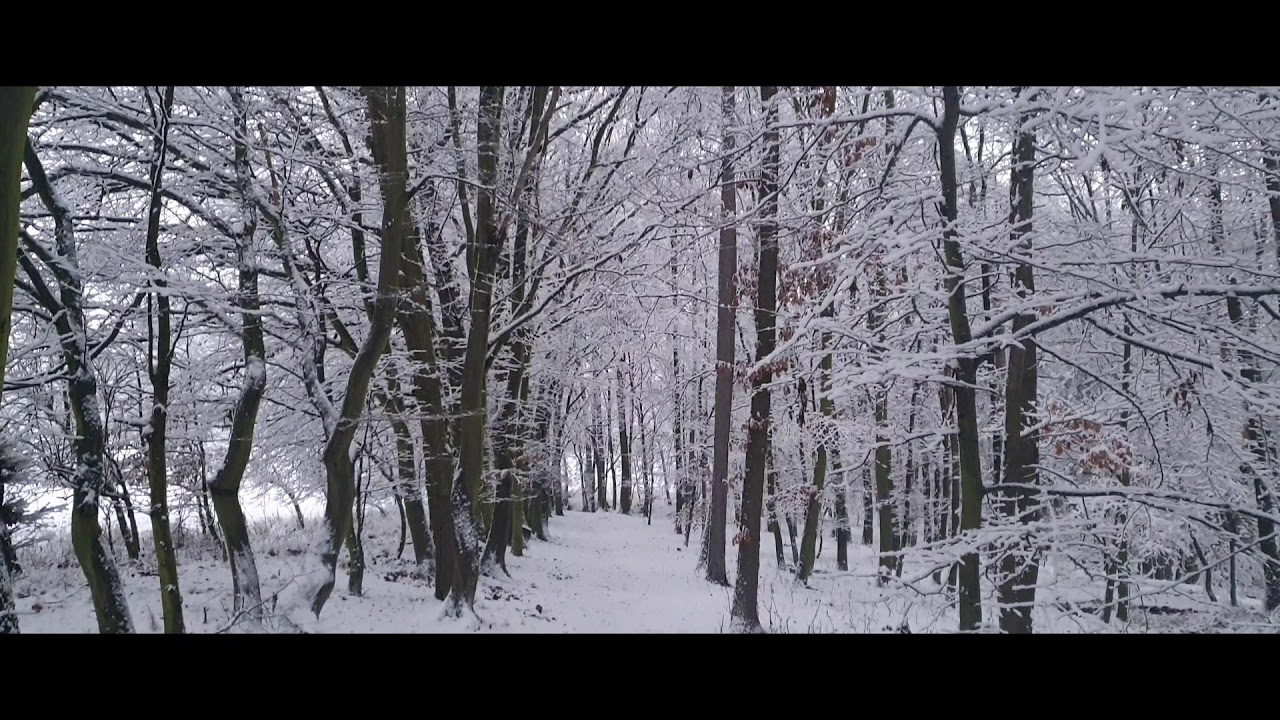 Winter - YouTube