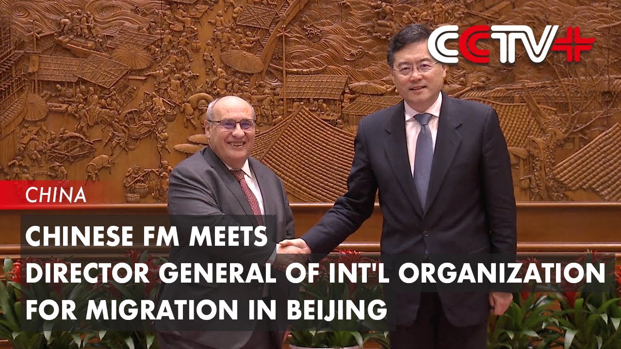 Chinese Foreign Minister Meets Director General of Int'L Organization ...