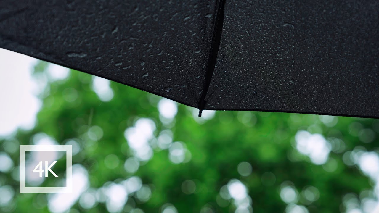 Sounds of Rain Drops on Umbrella | Heavy Rain in Neighborhood | ASMR ...