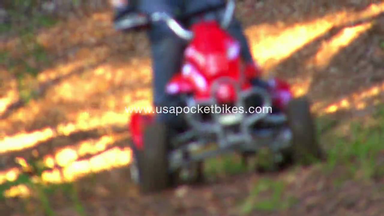Pocket Bikes, Mini Bikes - Cobra S4 50cc Mini 4-Wheeler Quad - YouTube