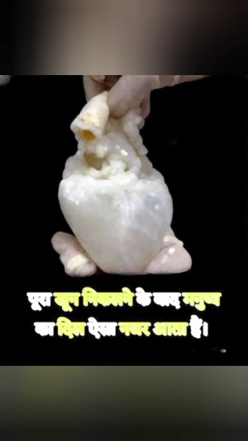 human heart without blood | मानव दिल | #ytshorts #ytshort - YouTube