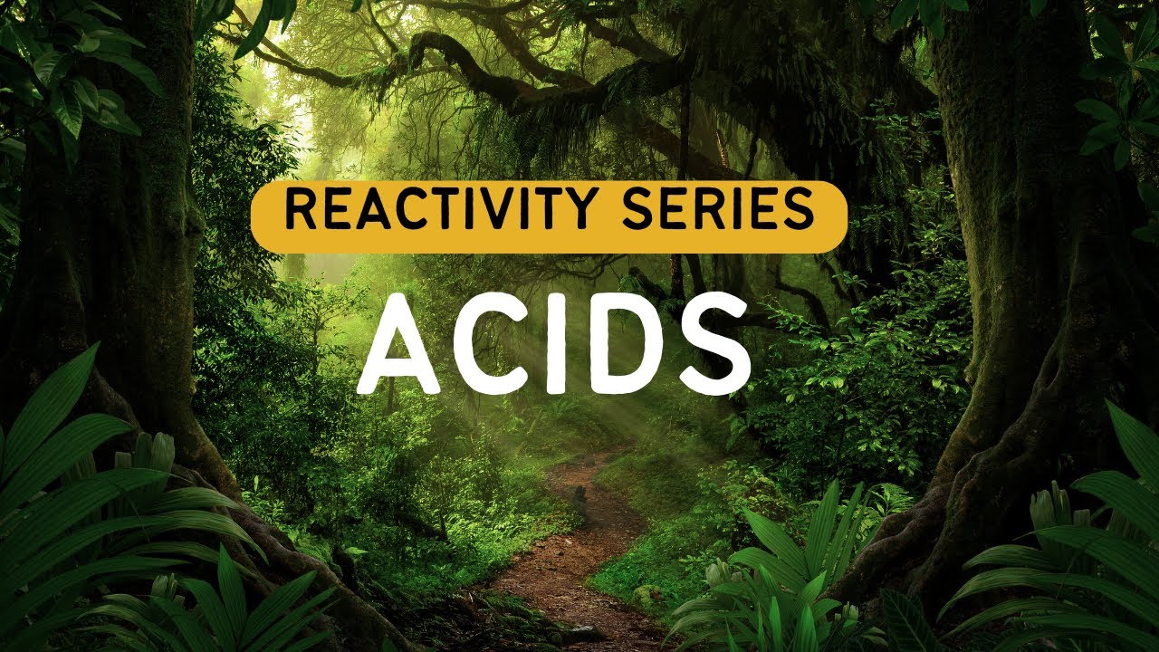 Acids & Reactivity Series | O level & IGCSE 2024 - YouTube