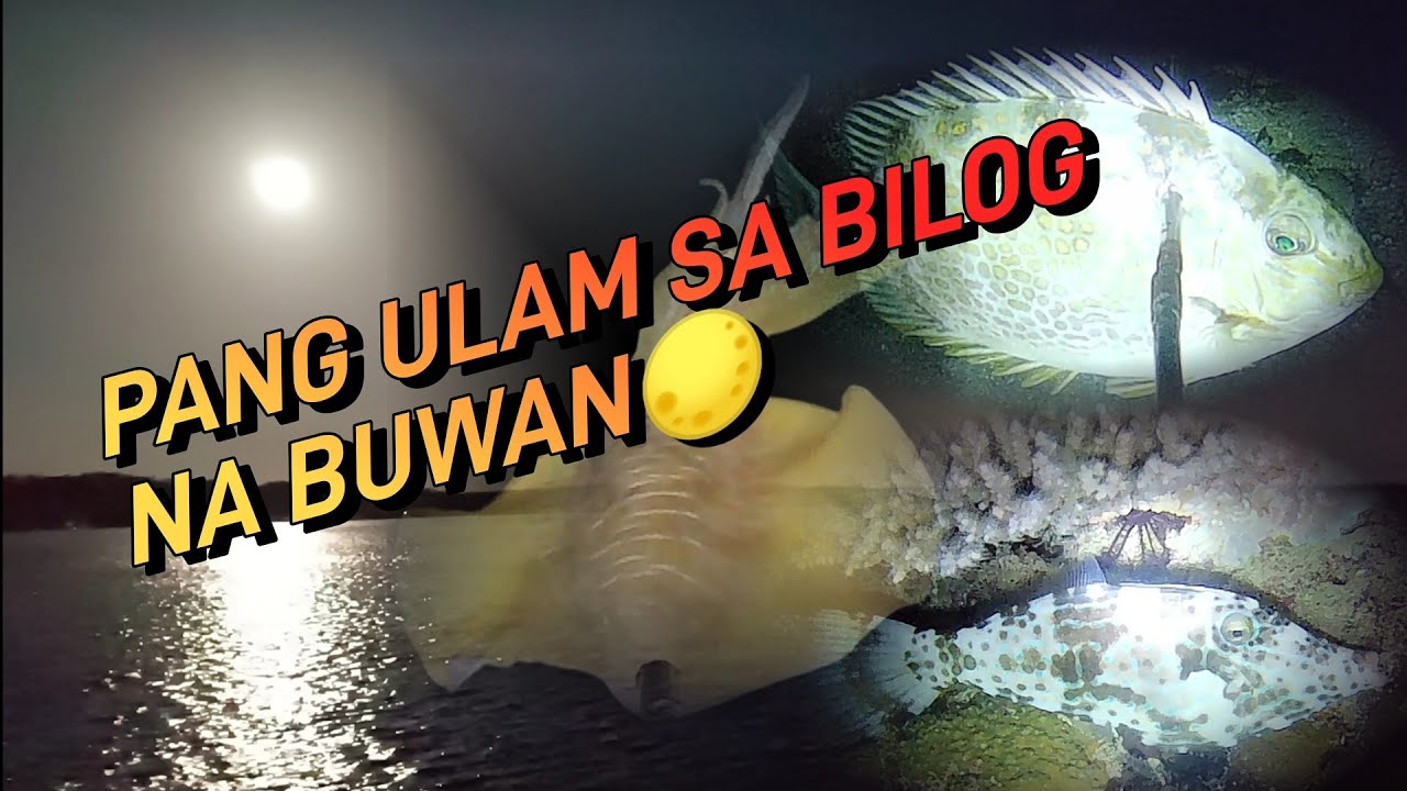 NIGHT SPEARFISHING PHILIPPINES EP#24 FULL MOON DIVE #nightspearfishing ...