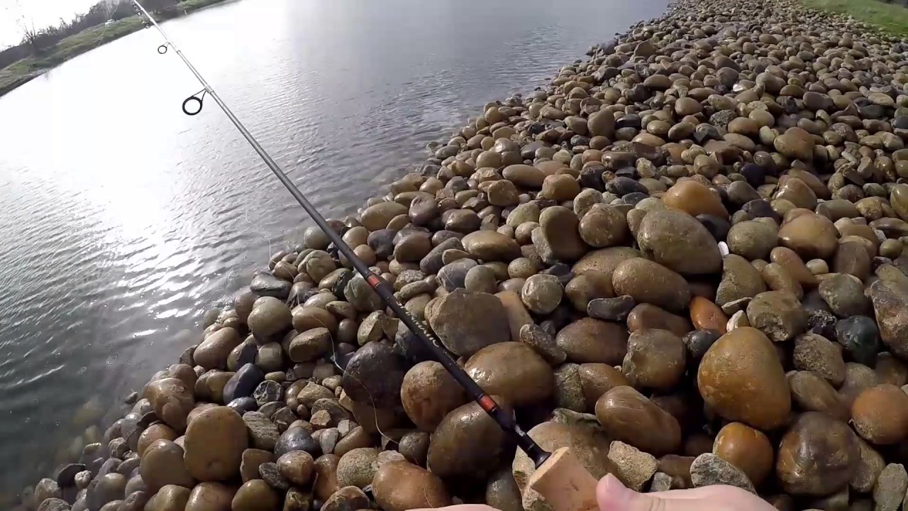 Fishing Avocado Lake and Kings River behind - YouTube