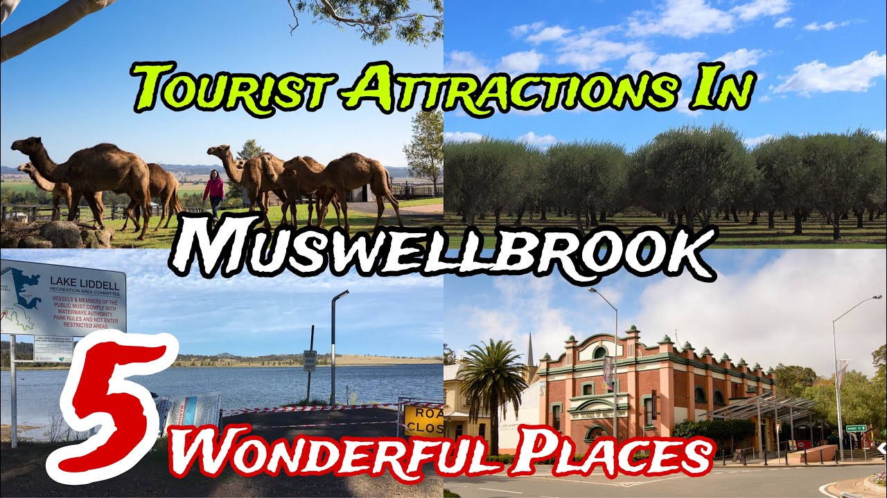 Top 5 Best Tourist Places to Visit in Muswellbrook 😍 | Australia 🇦🇺 ...