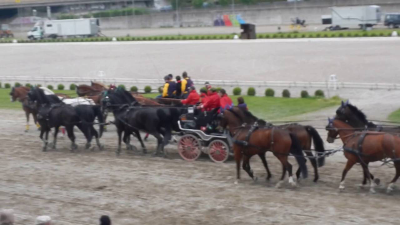 Markus Zingg Siegerehrung Schänzli 2012 - YouTube