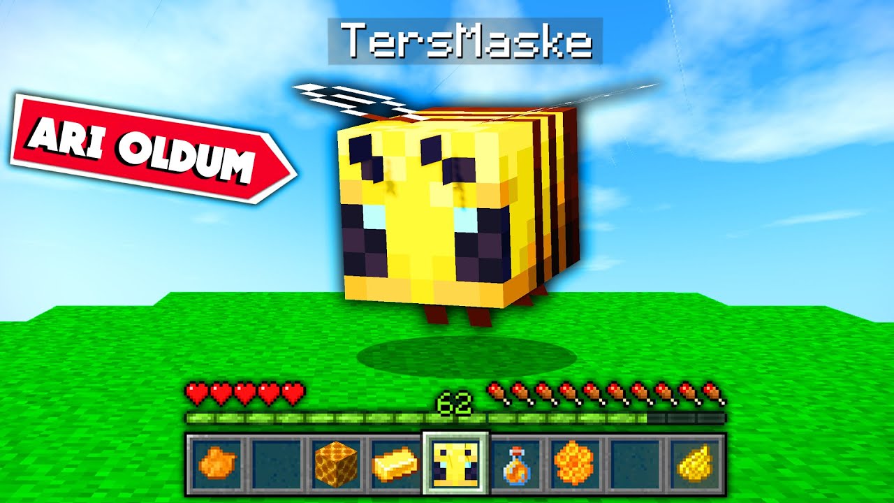 ARI OLARAK MİNECRAFT OYNAMAK !! - Minecraft - YouTube
