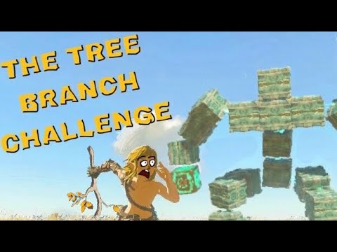 The Tree Branch Challenge - TOTK Gameplay - YouTube