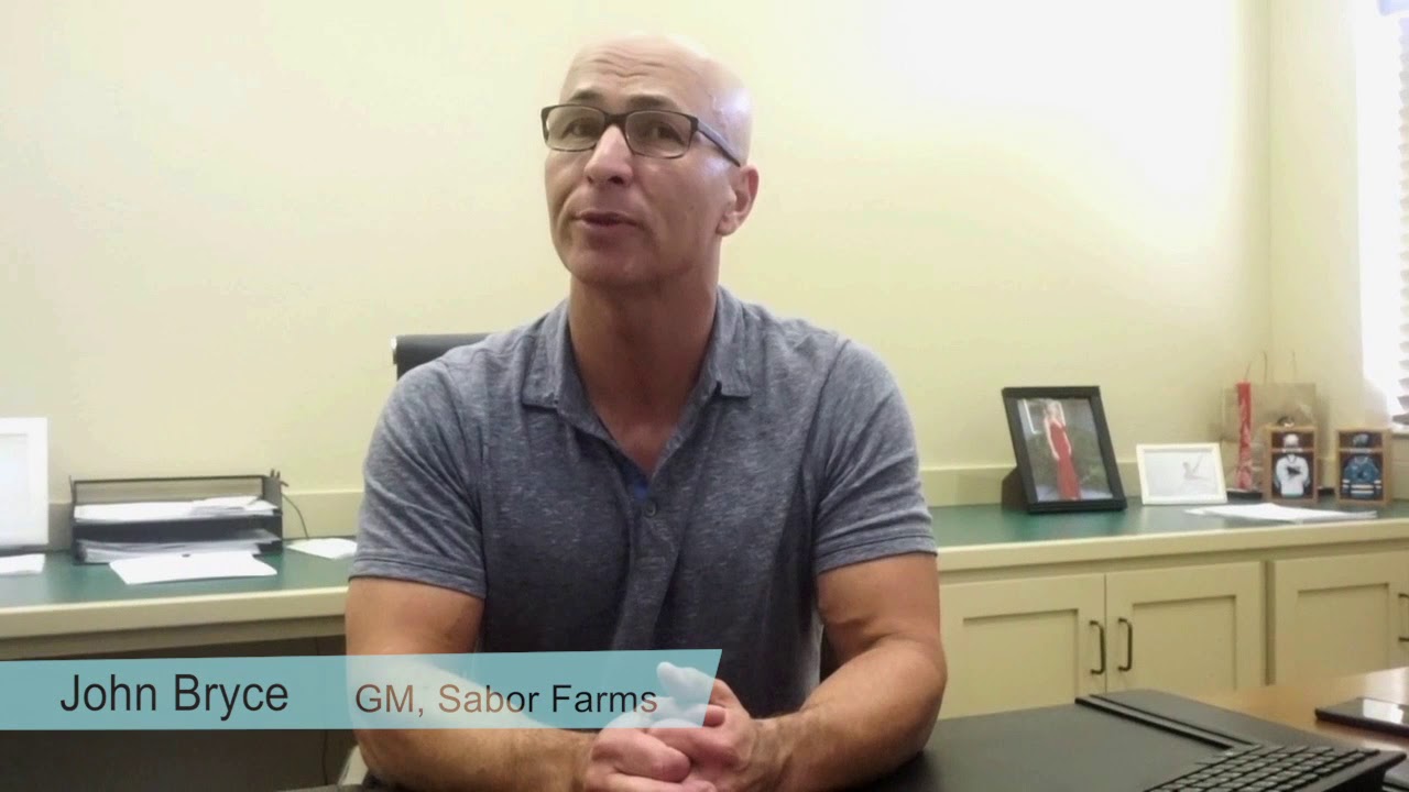 John Bryce on Management Skills - YouTube