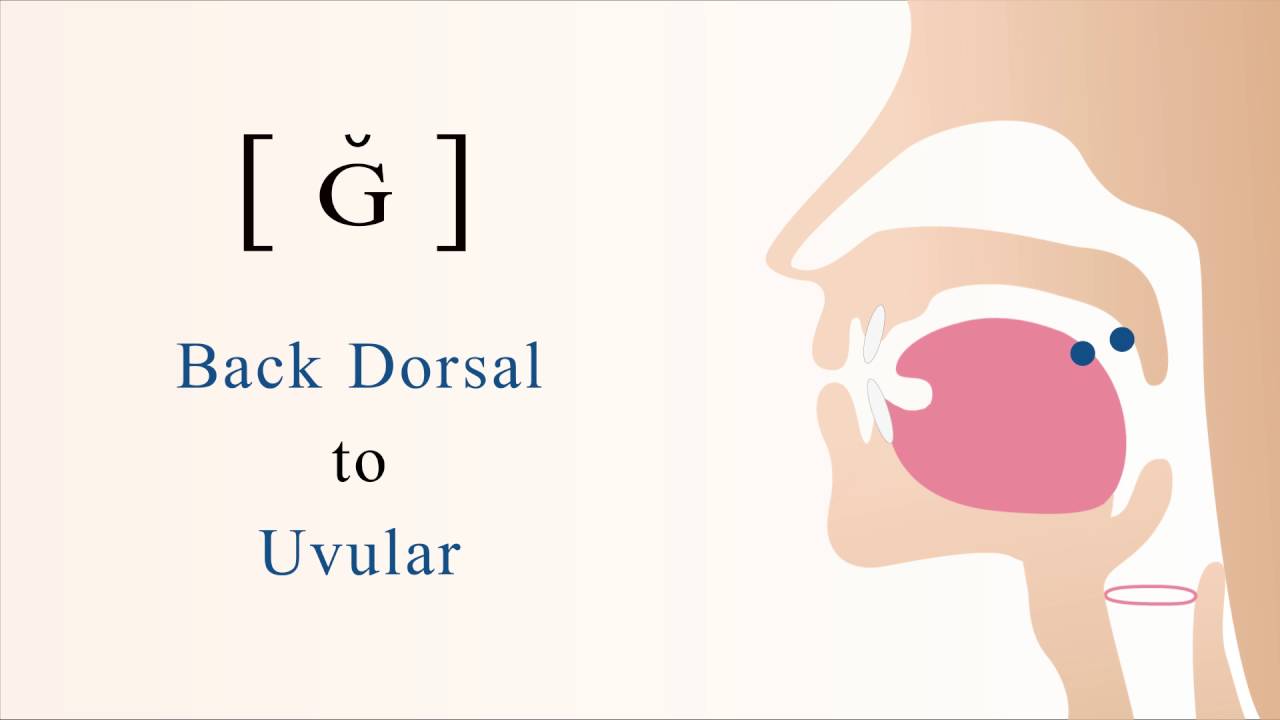 [ ɢ̆ = ʀ̆ ] voiced dorsal uvular tap - YouTube